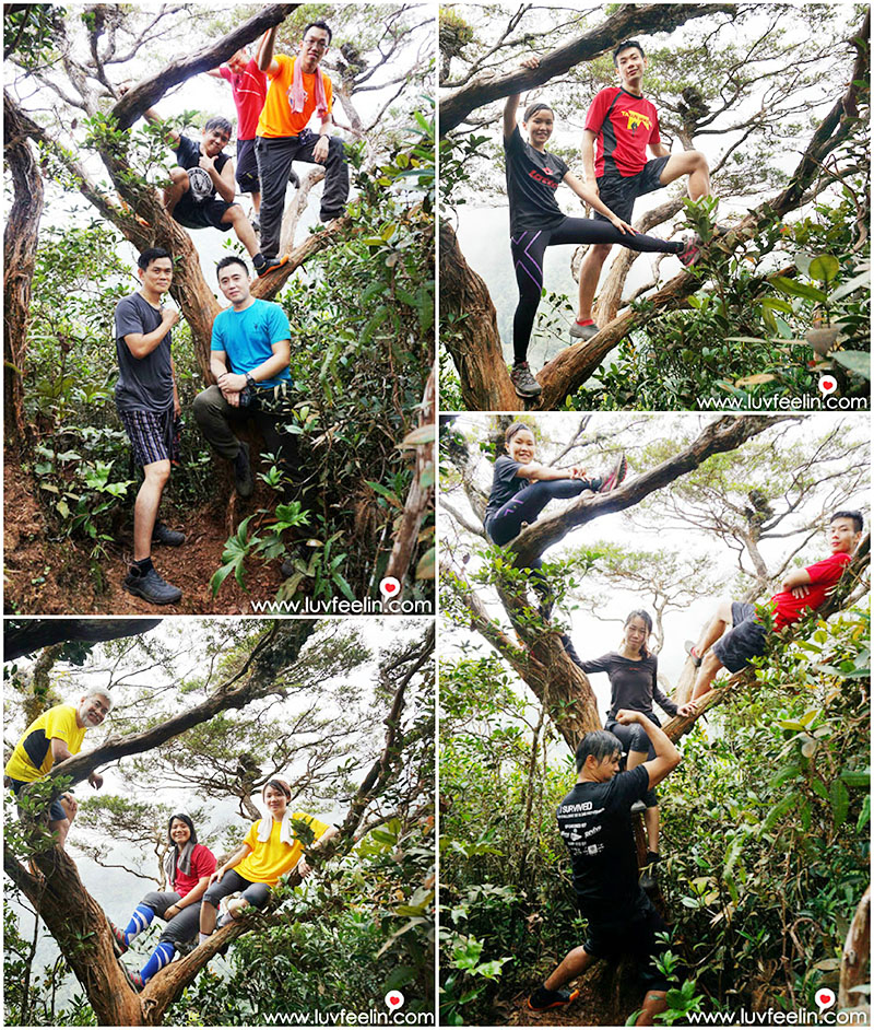 Gunung Rajah 帝王山攻顶成功 + Camping @ Lata Naning 野外露营初体验 - 乐飞翎 ♥ LUVFEELIN