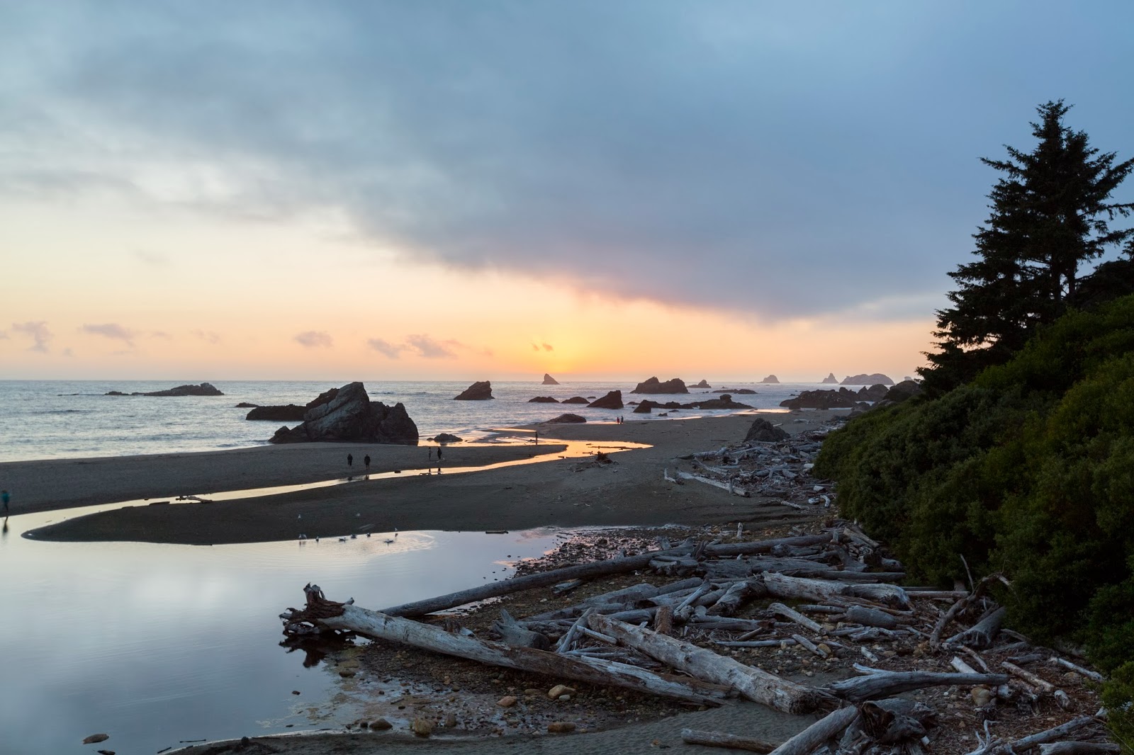 Naturetastic Blog: Brookings, Gold Beach - Oregon Coast