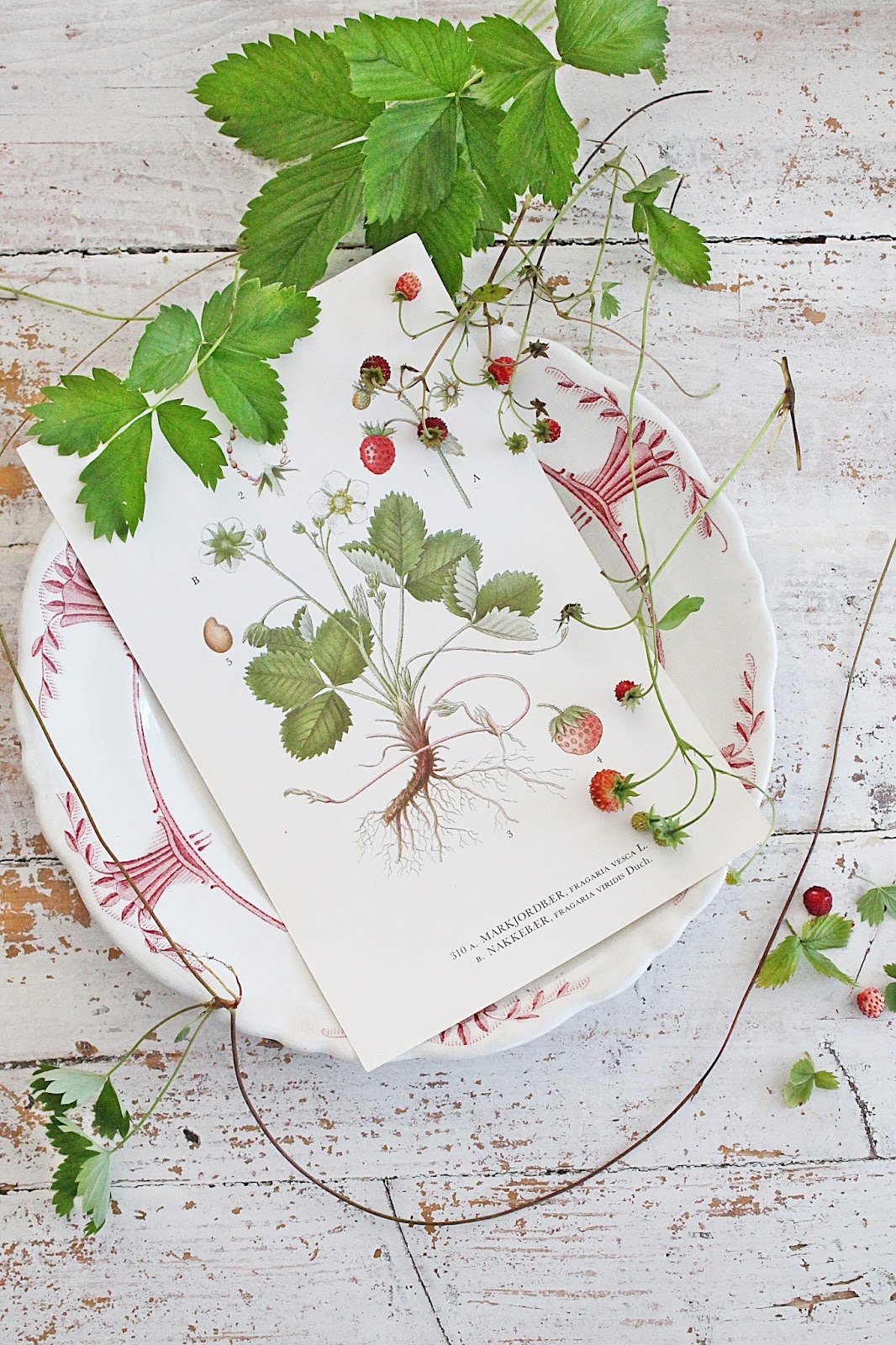 VIBEKE DESIGN: Aller siste rest