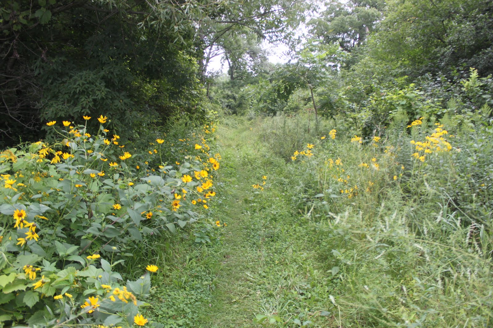 Russman's spot: Quarry Hill Nature Center Rochester, MN