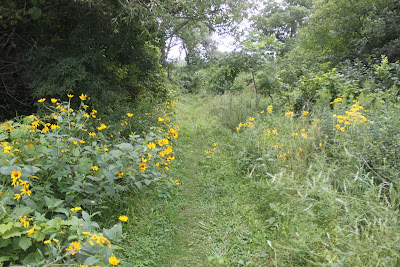 Russman's spot: Quarry Hill Nature Center Rochester, MN