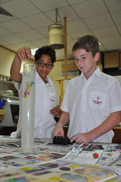 F1 @ DBS: Streamlining experiment in DT!