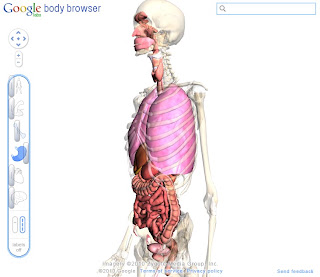 史貝爾之BioiT: Body Browser_3D人體透視瀏覽