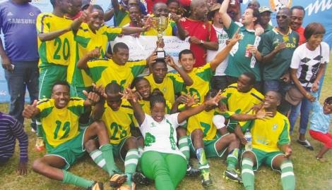 World Football Badges News: Namibia - NPL Premier League 2014-15