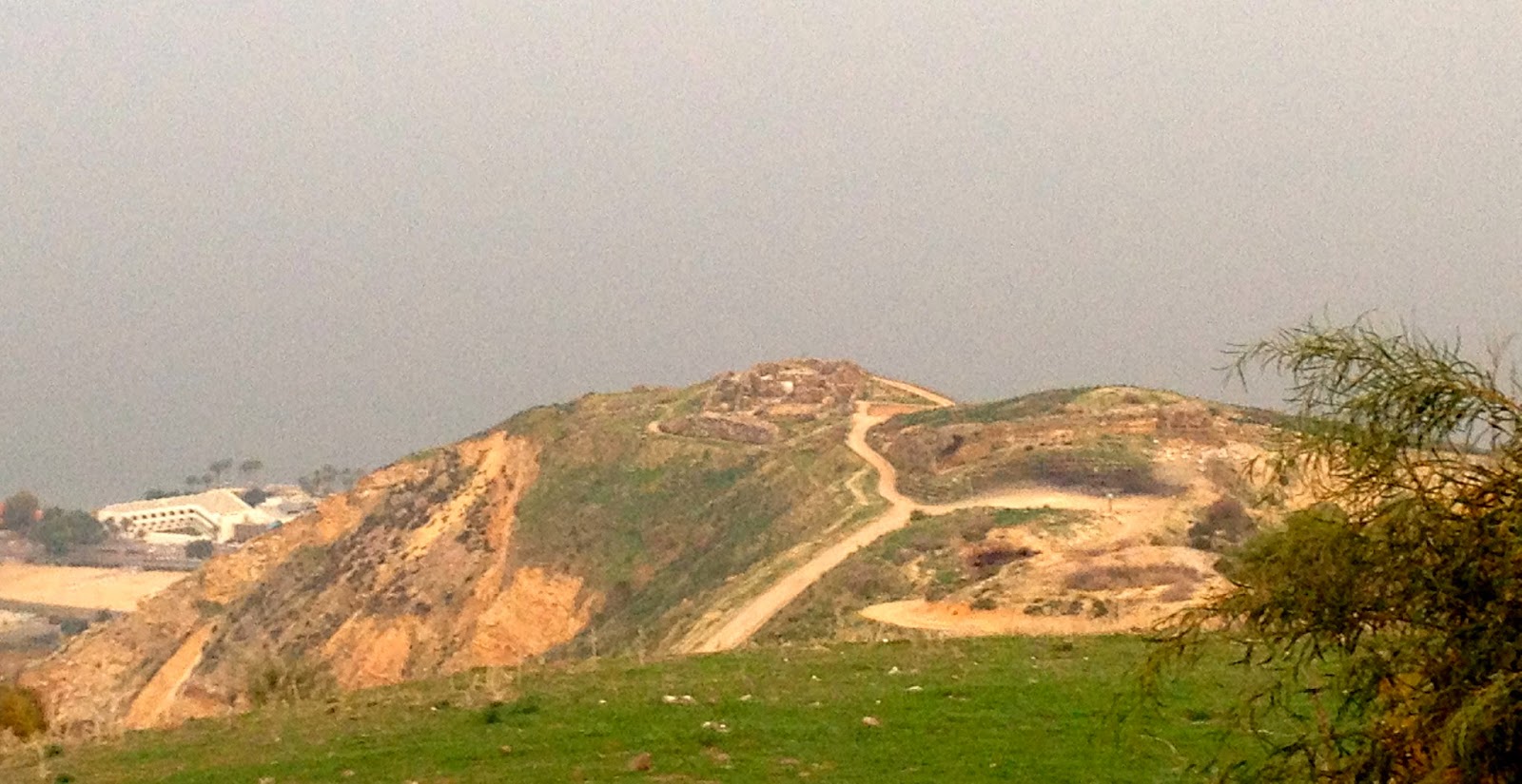 Vintage Grace: Tiberius- Mt. Berenice