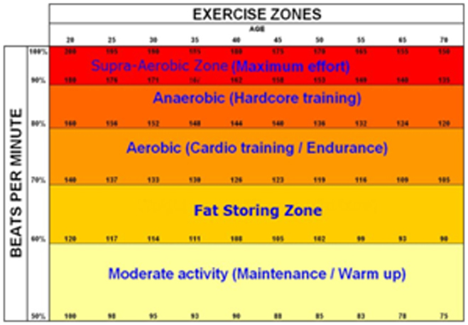 Terra Forming Terra: PACE Afterburn Exercise
