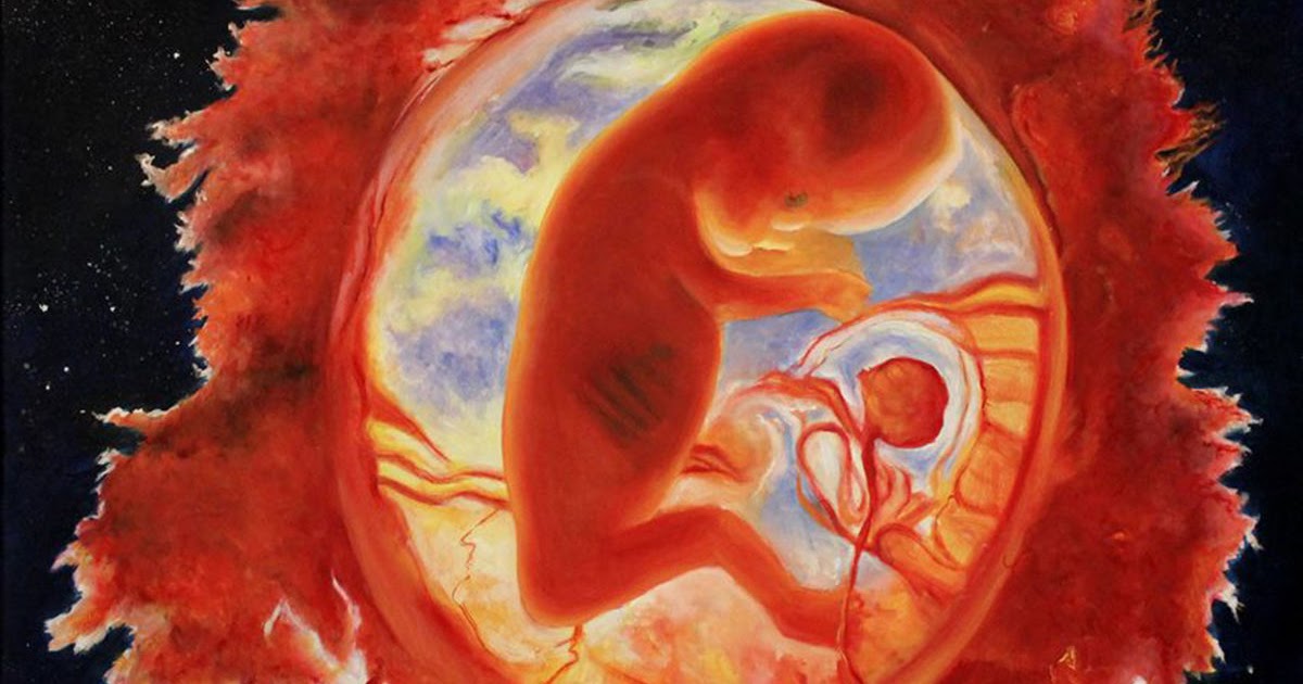 The Body of Christ: The Value of A Fetus