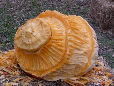 the cape on the corner: Pumpkin Carve Past