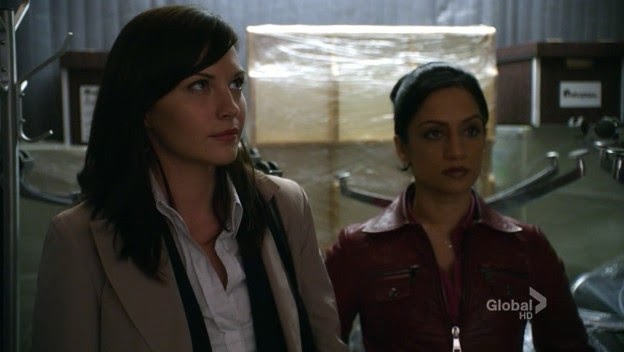Royal Pains Online: Jill Flint Back As FBI In Good Wife