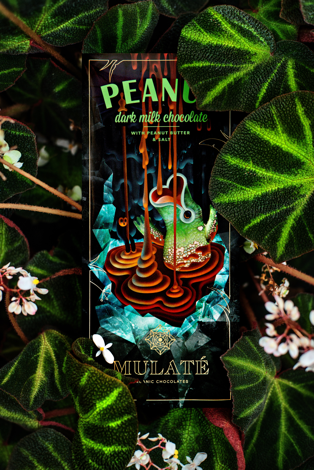 MULATE Chocolates – Packaging Of The World