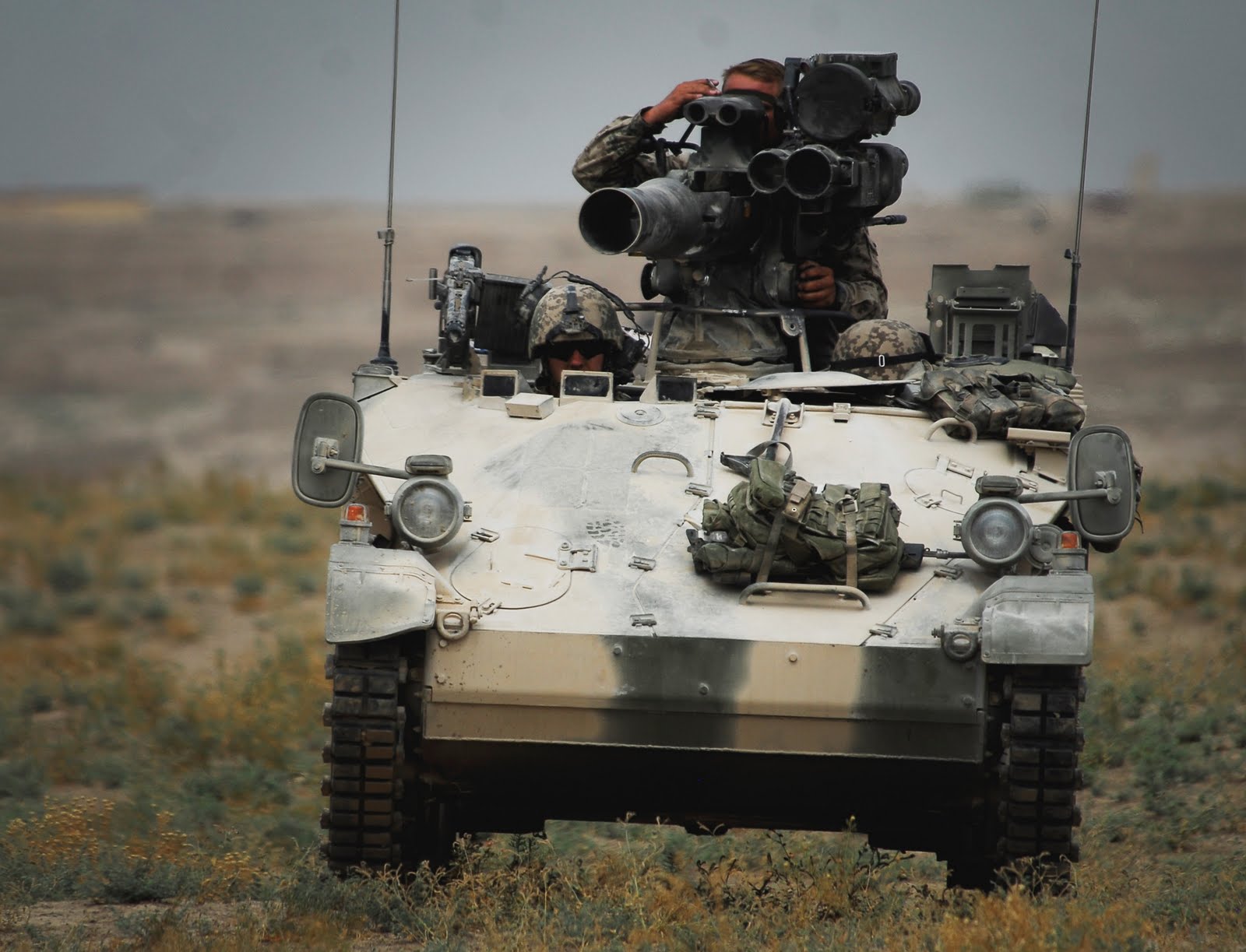 Defense News: Wiesel