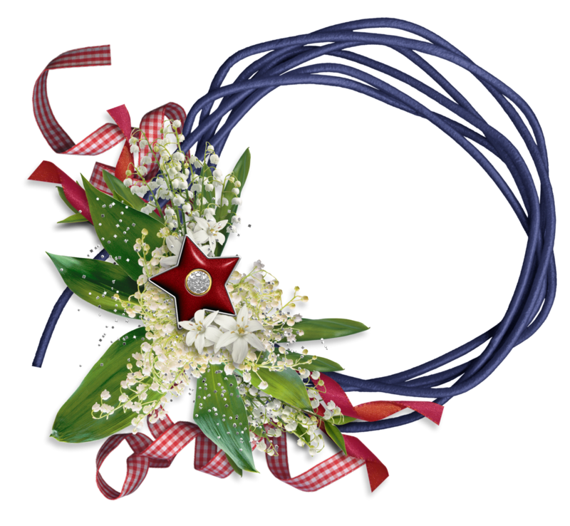 ForgetMeNot: Cluster spring frames