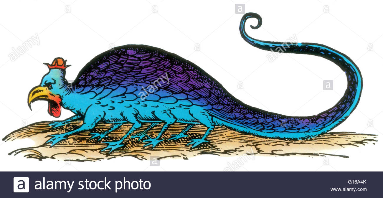 Planar Adventures for Dummies: Ecology of the basilisk and cockatrice ...