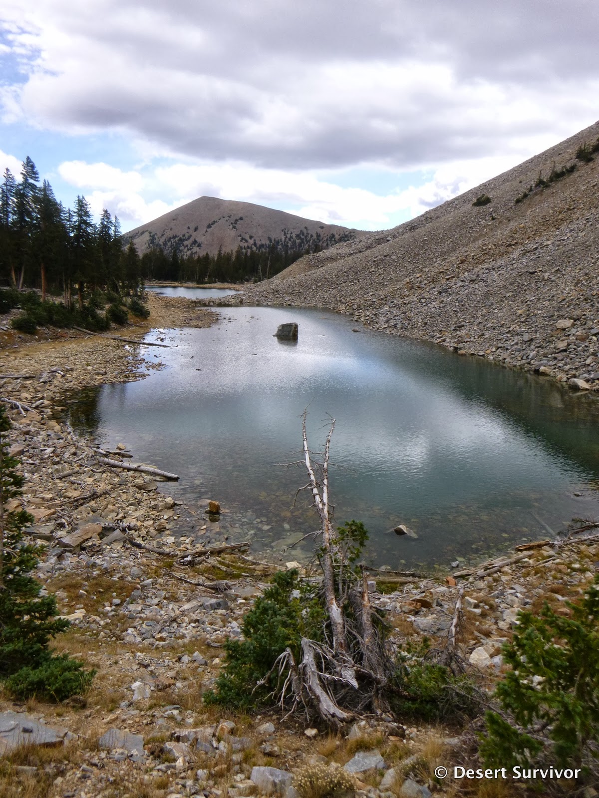 Desert Survivor: Hike to Baker Lake in Great Basin National Park