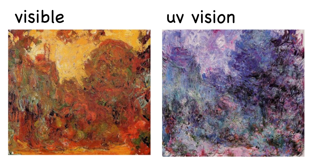 SomebloodyWeird: How to see impossible colors, imaginary colors and ...