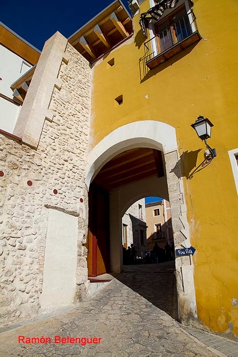 BICHOS Y MAS VLC: DE PASEO POR ONTENIENTE (I)