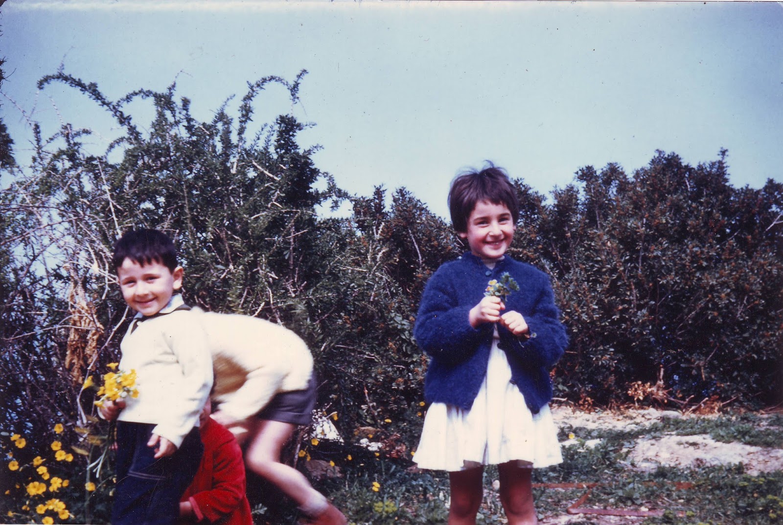 NATAF Story: Jacqueline