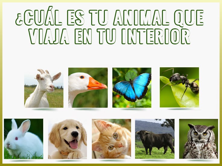 ¿Cuál es tu animal que viaja en tu interior?, según la numerología