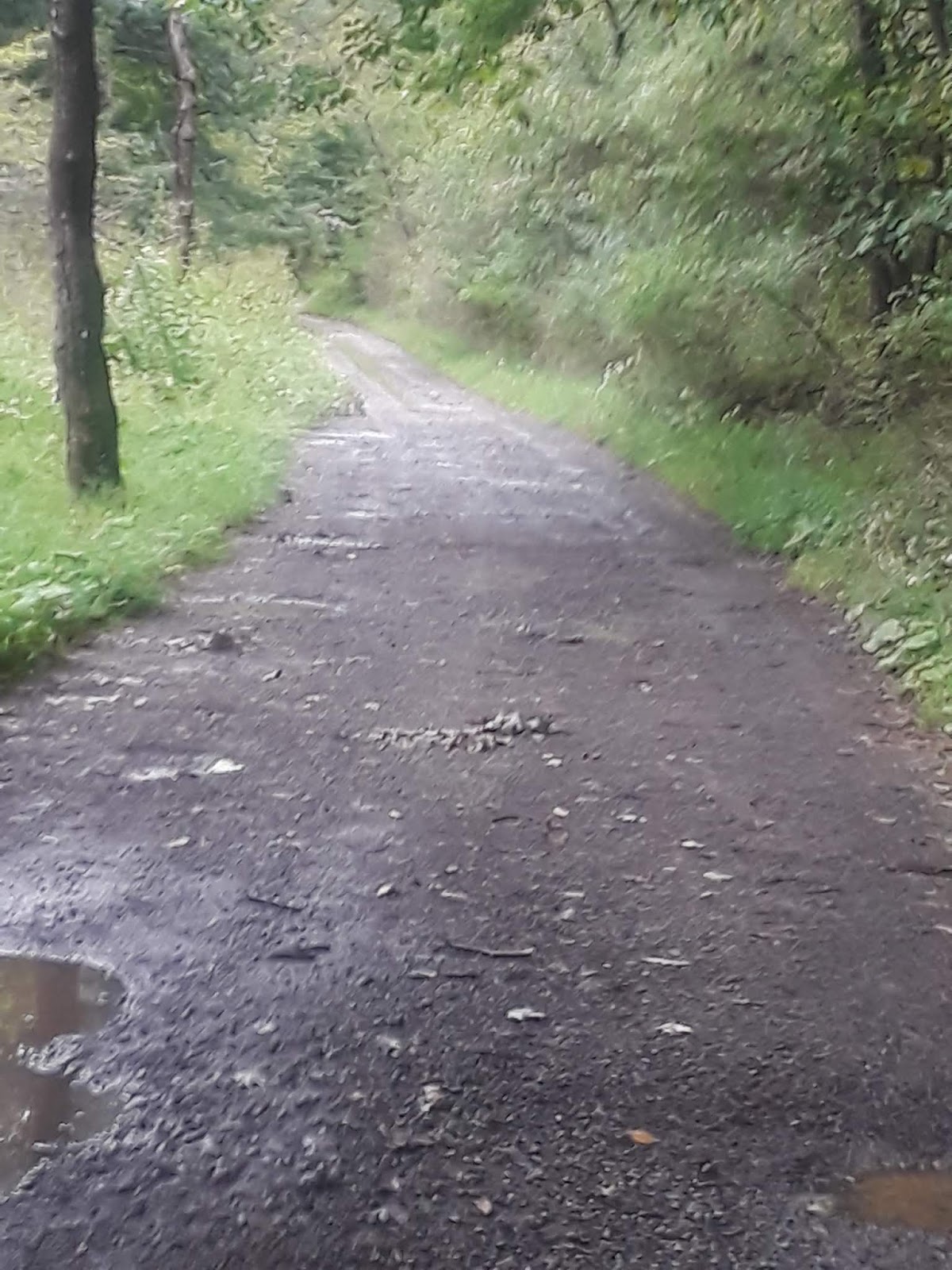 Blue Mist Road, Its Lore and Urban Legends