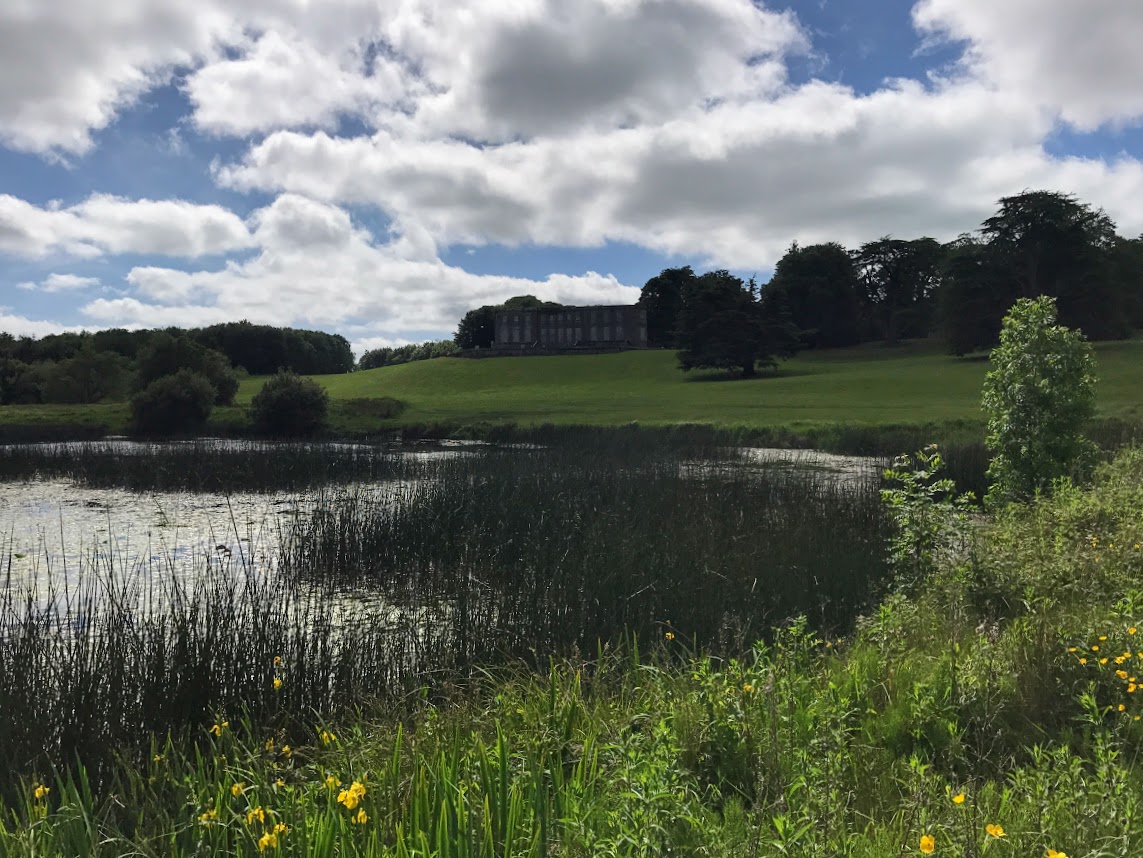 Patrick Comerford: Curraghchase and the search for the elusive Lady ...
