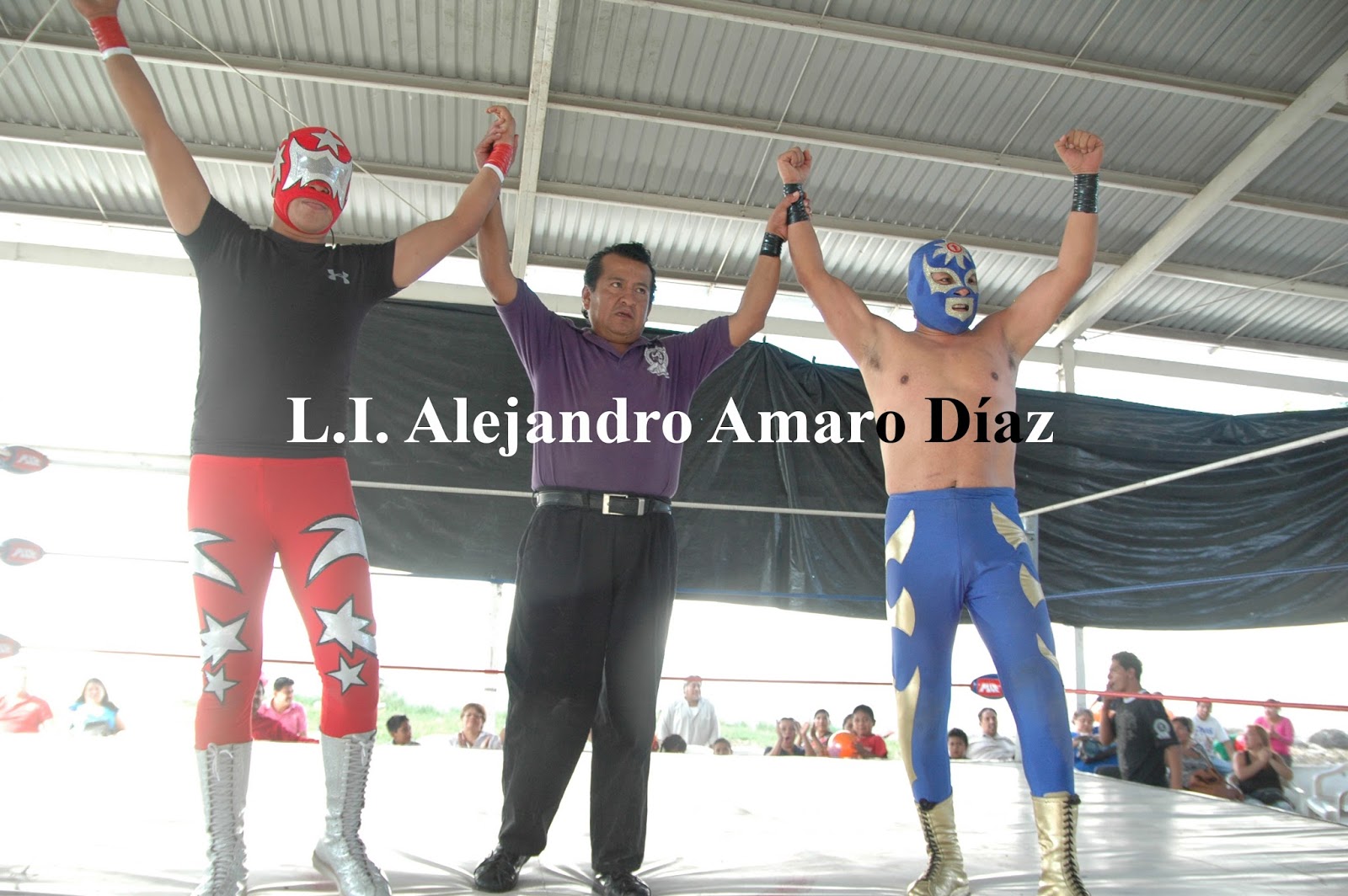 ESTRELLAS DEL RING.: Lucha mixta