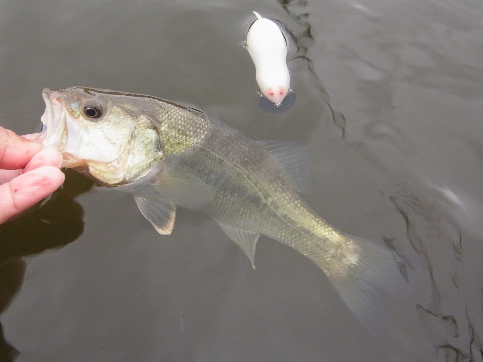 Chug-Chug! Rush, At Ease!: A bad day of fishing is...