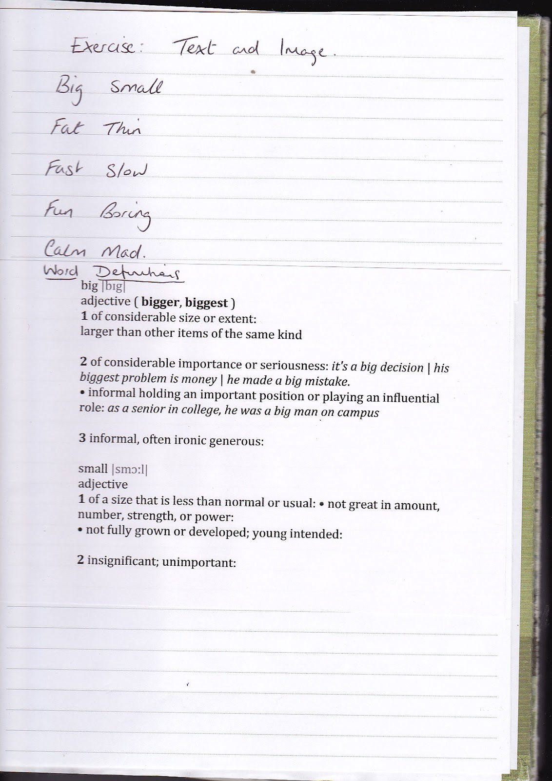 Debbie's Illustration Log: Exercise Text and Image