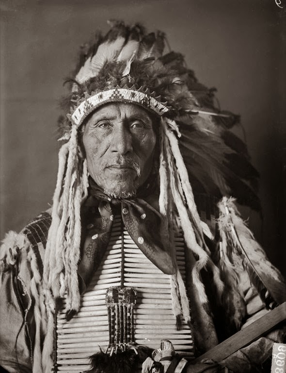 Native American Indians Sioux Warrior