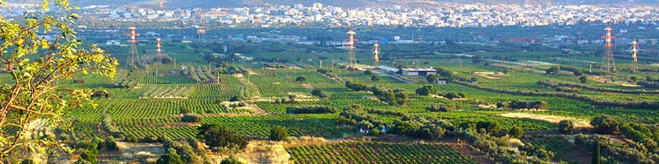 ΠΕΡΙΒΑΛΛΟΝ+ΑΝΑΠΤΥΞΗ SPATA-ARTEMIDA: Στο αυτόφωρο υψηλόβαθμο στέλεχος ...