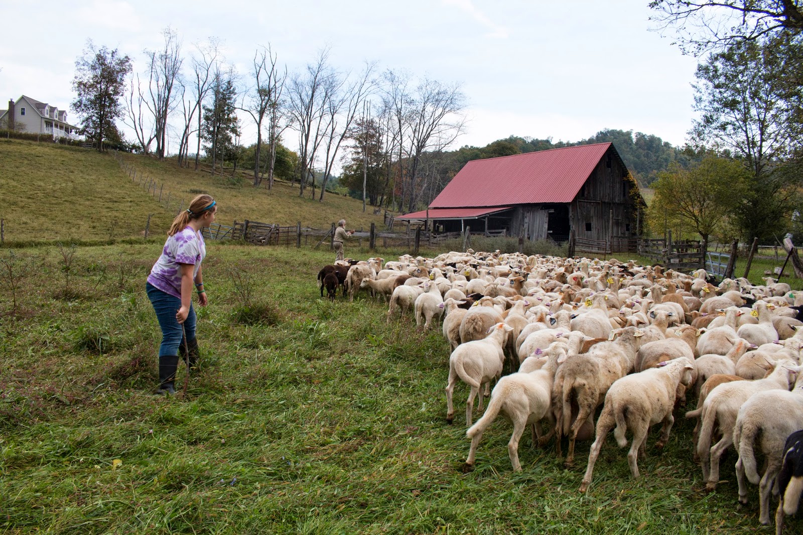 Rachel Yoke Photography: Farming in West Virginia