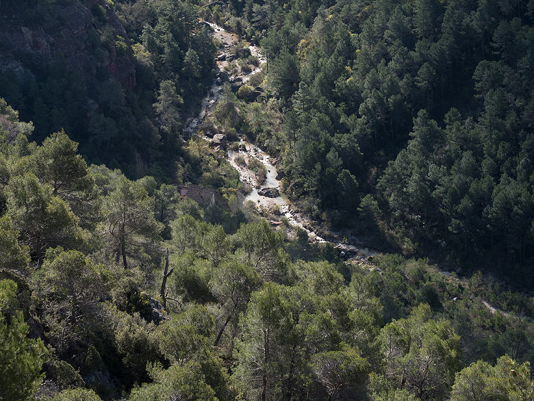 Fent camí: El riu Siurana i els seus 6 graus