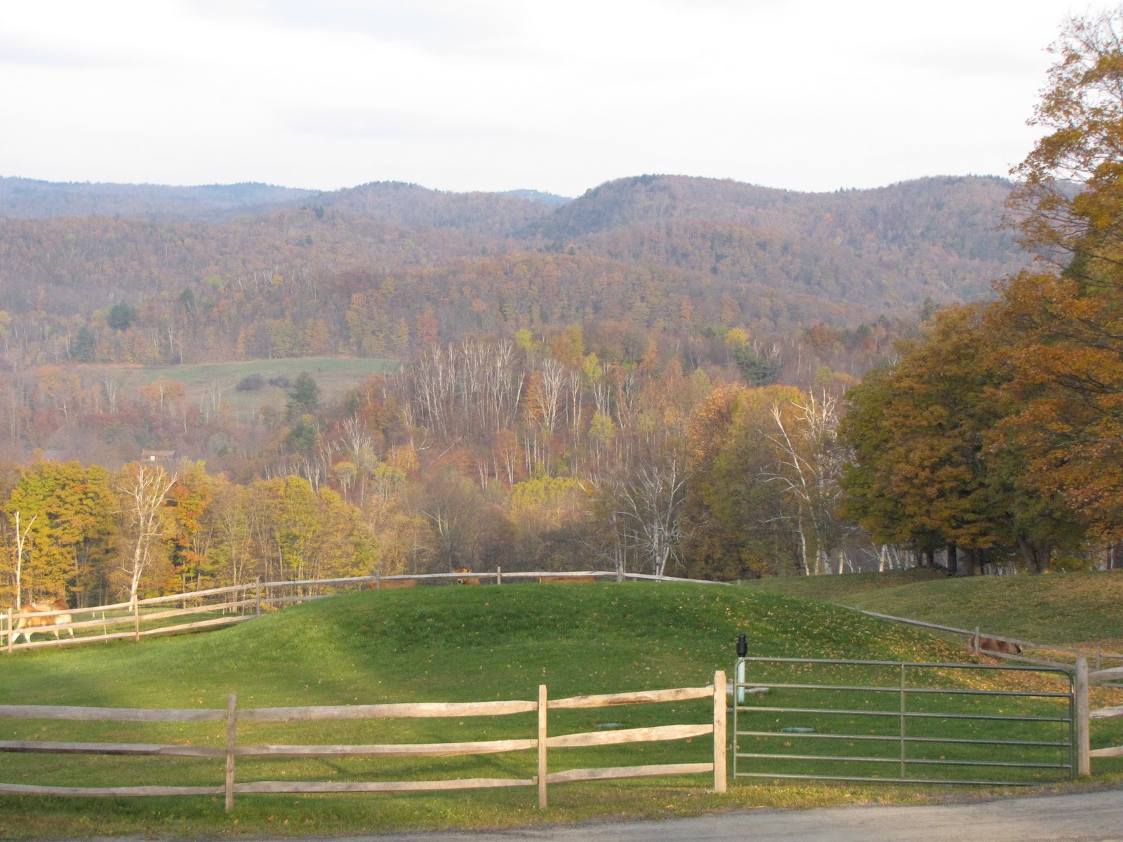 Channel View's Vermont Farm Trip: Pictures of the farm from the trip ...