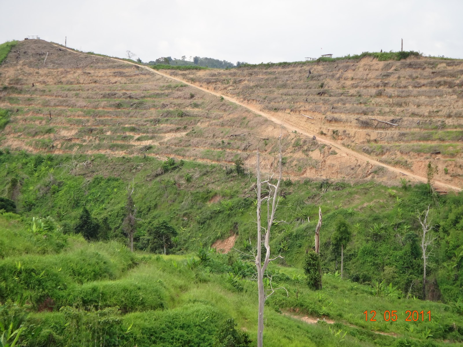 Experimental Farming: Landslide caused by heavy rain.