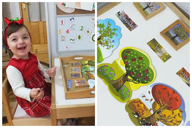 Clipe Frumoase cu Ema: Marul in cele patru anotimpuri