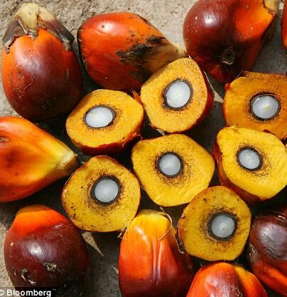 palm oil machine: palm oil machine, palm kernel oil machine,palm oil ...