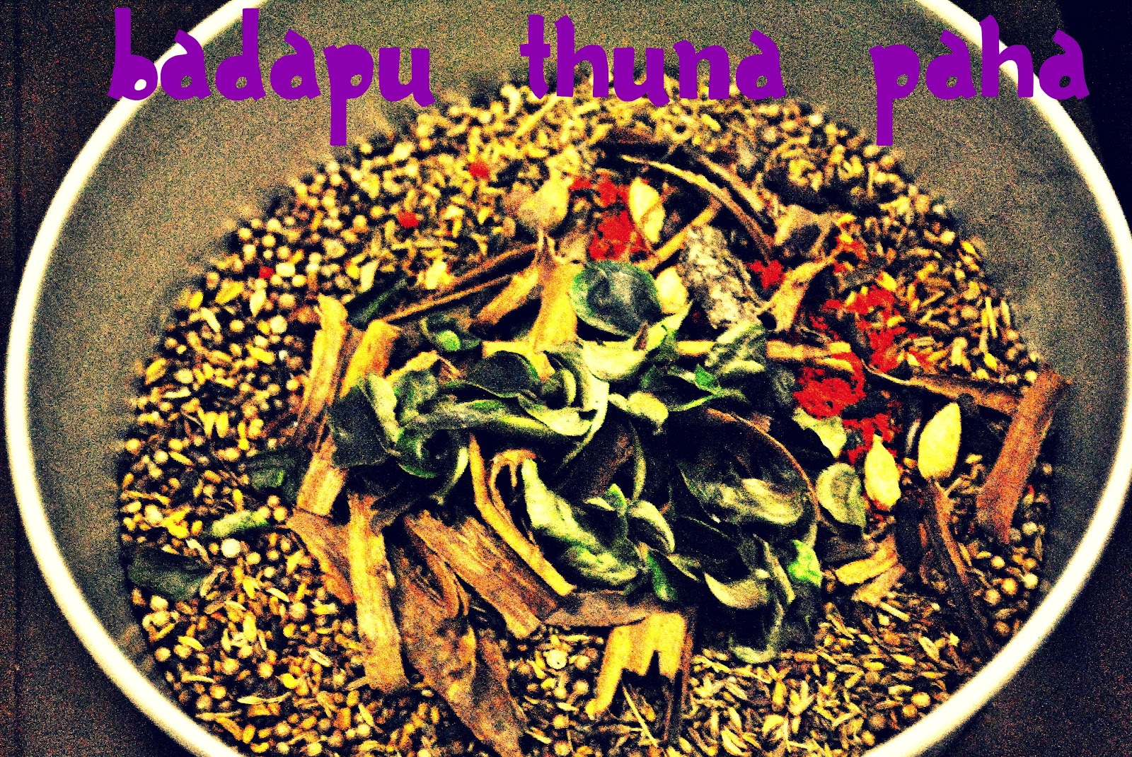 Craftiness Whatnot: Roasted Curry Powder: Cooking like a Sri Lankan