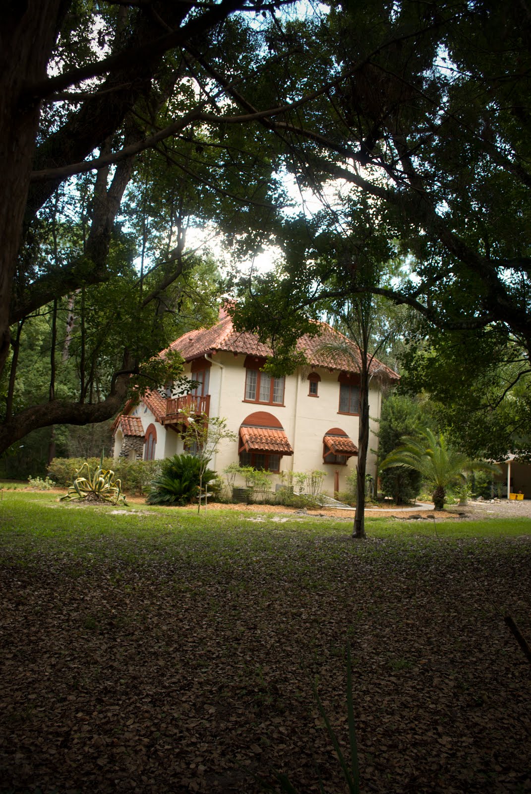 Old Florida: Sam Stoltz for Sale