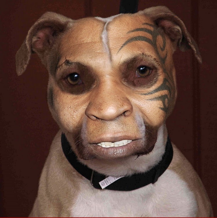 Jericho: Mike Tyson's Dog?
