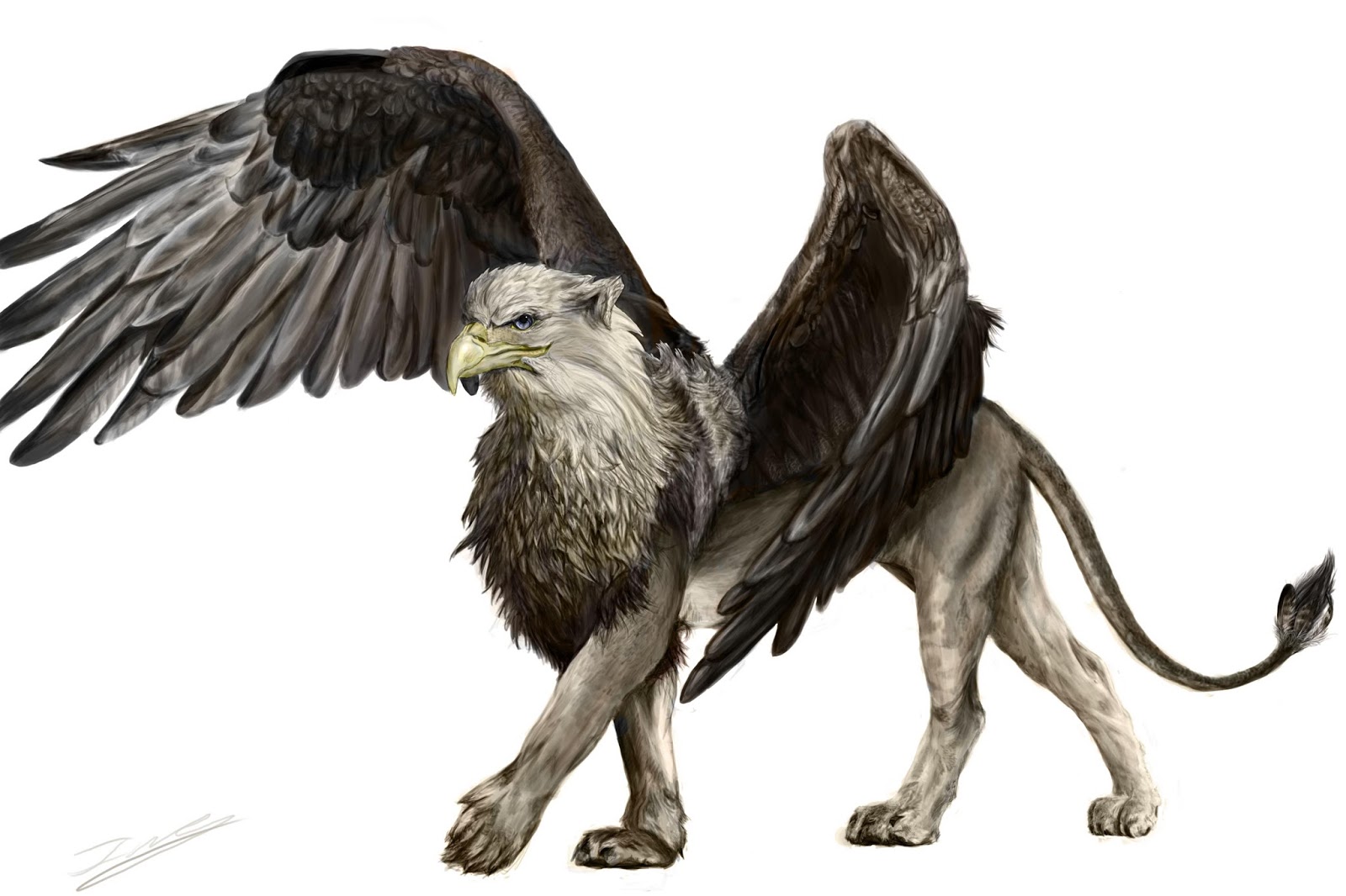 Grifo - Artes e Mitos