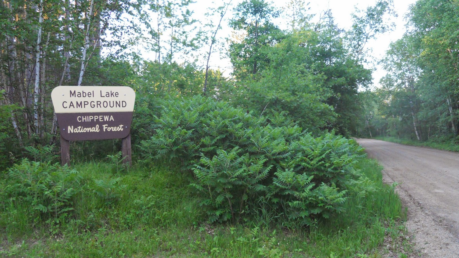 National Forest Camper: Mabel Lake Campground