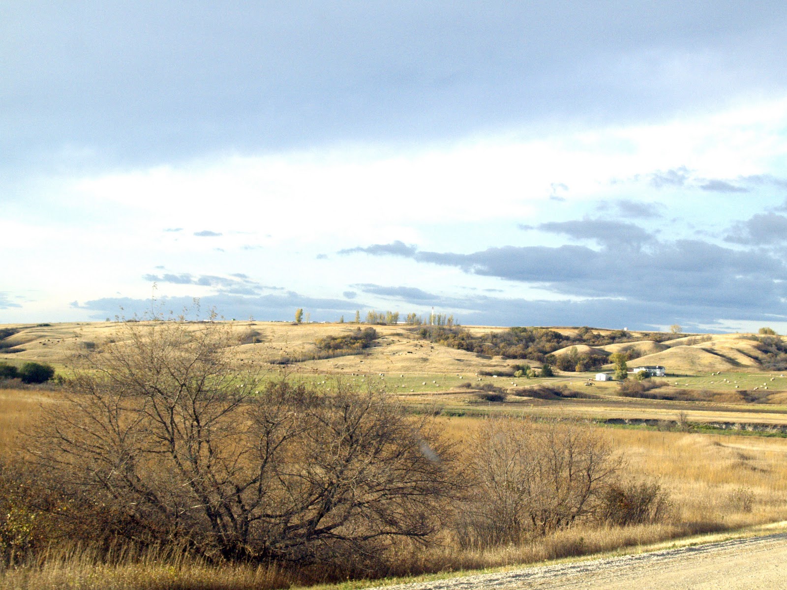 Peter's Photo Odyssey: a landscape.., Oxbow Saskatchewan Oct 7 2011