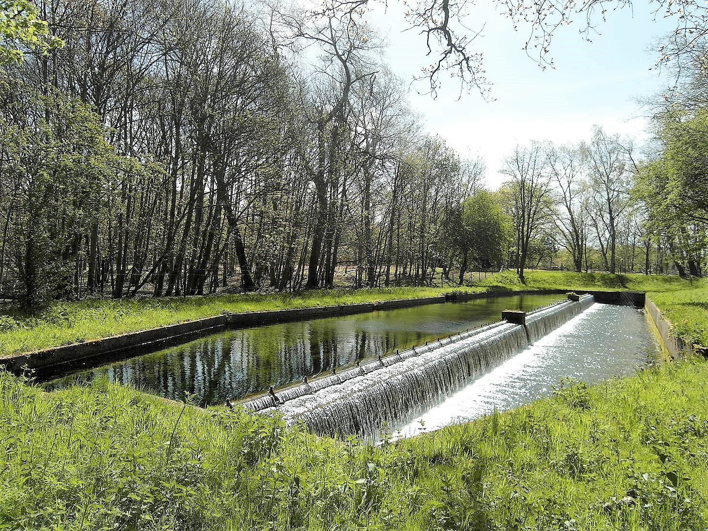 Mooiste Routes: Van Rijnwater tot Rein Water (Vogelenzang, Noord-Holland)