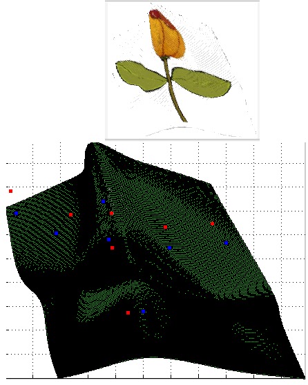 TOPICOS EN PROCESAMIENTO GRAFICO: Implementation of "Image Deformation Using Moving Least Squares"