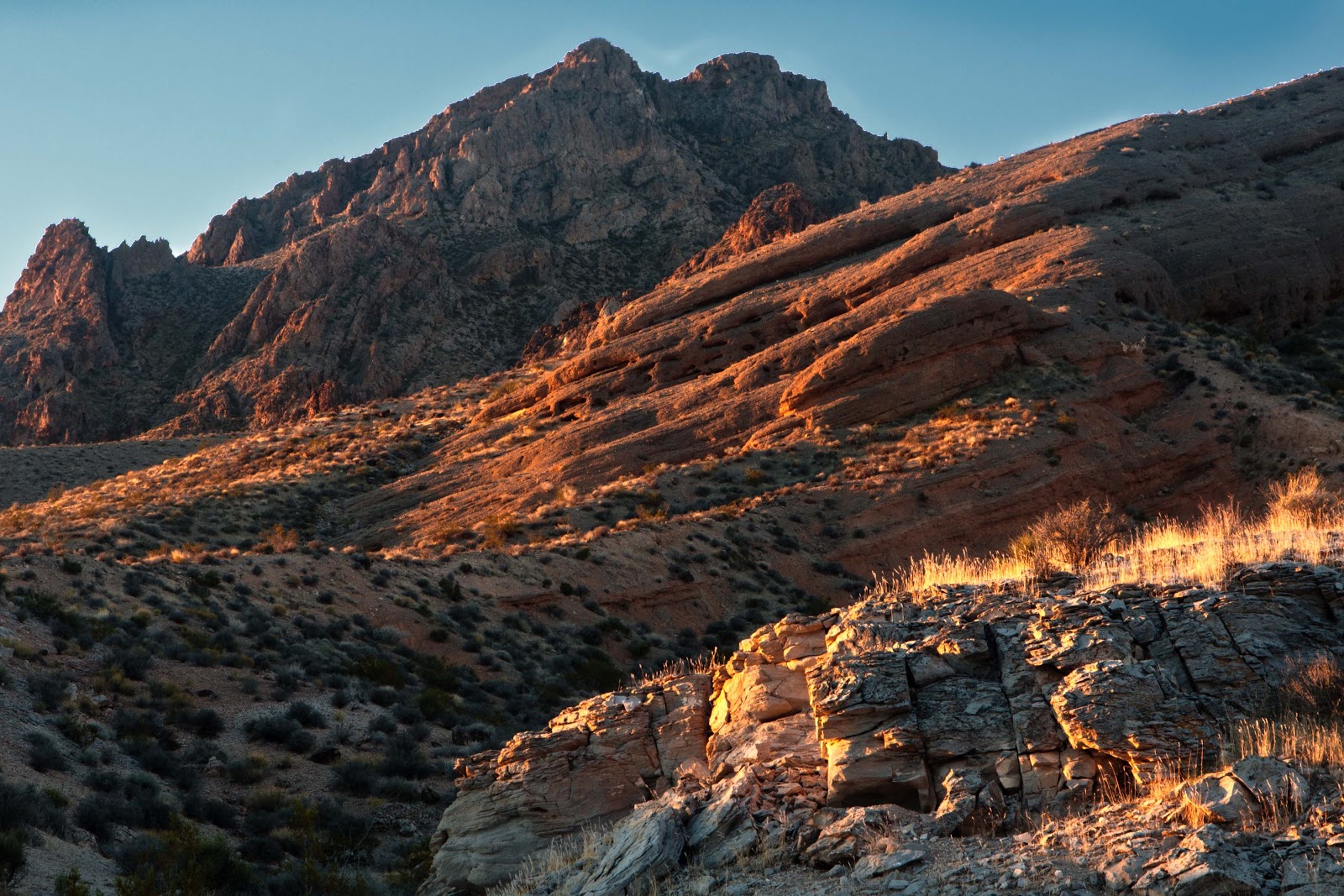 Southern Nevada Outside: Muddy Mountains Wilderness