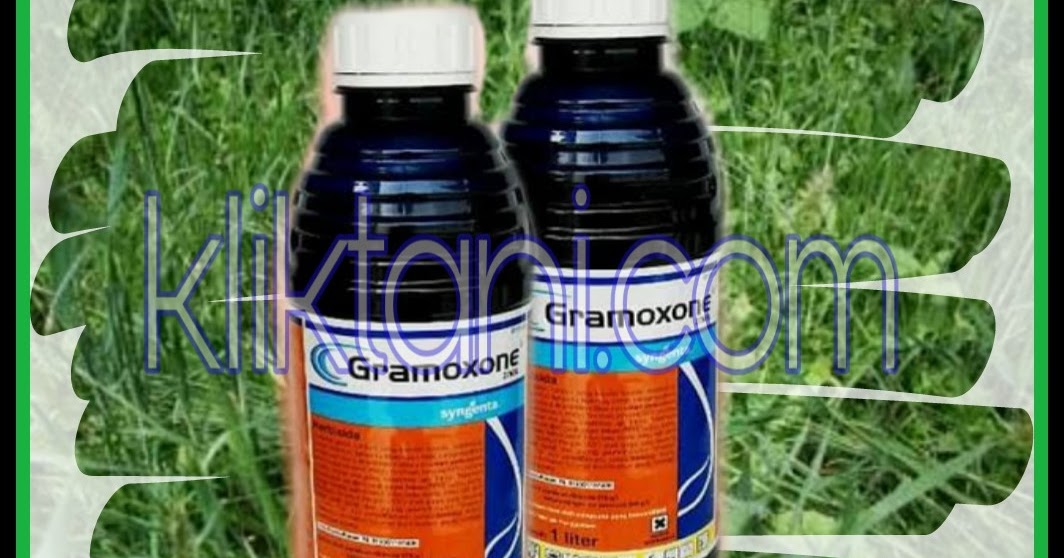 Herbisida Gramoxone 276 SL, Obat Rumput Paling Kuat - kliktani.com
