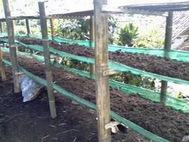 Cara Membuat Kandang Cacing Tanah ~ Contoh Artikel