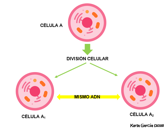 Origen de la vida en la Tierra
