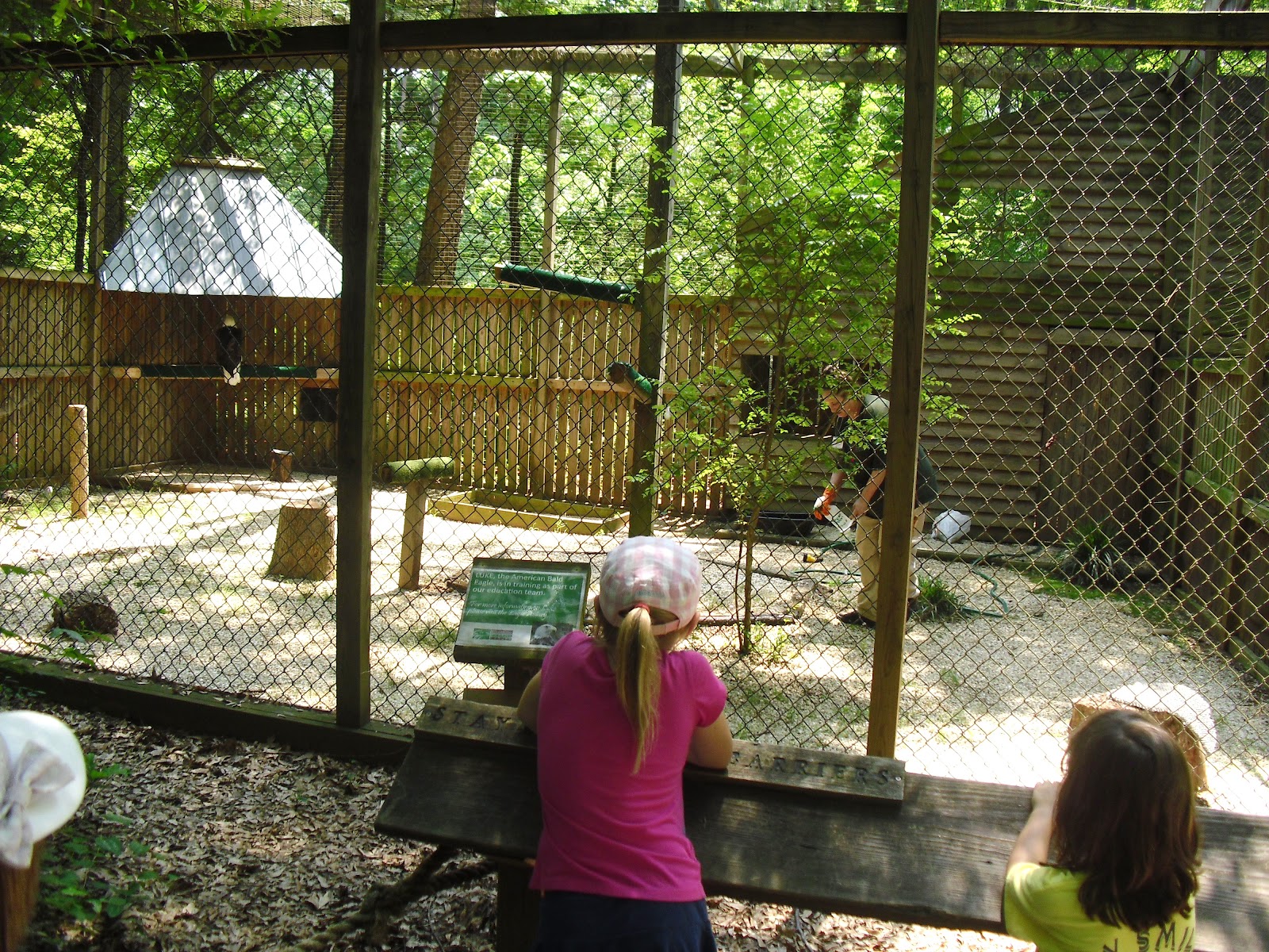 Travel NC With Kids: Carolina Raptor Center – See Eagles, Owls, Hawks ...