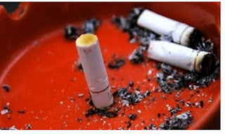 See how worms develop nicotine reliance & withdrawal when quitting ...