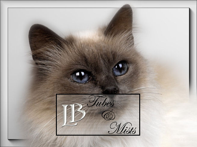 LB TUBES & MISTS: ANIMALES